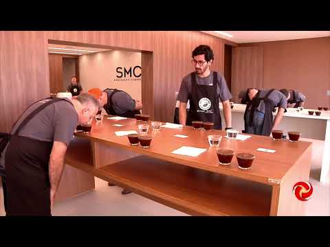 Sustentabilidade e a rastreabilidade do café | TV Alterosa